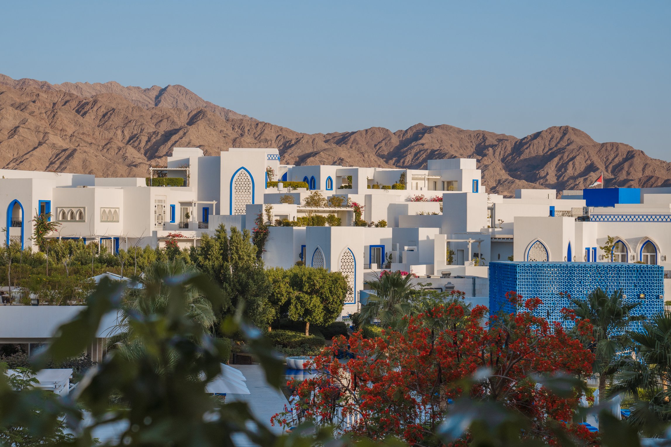 The Wonderful Seas of Jordan